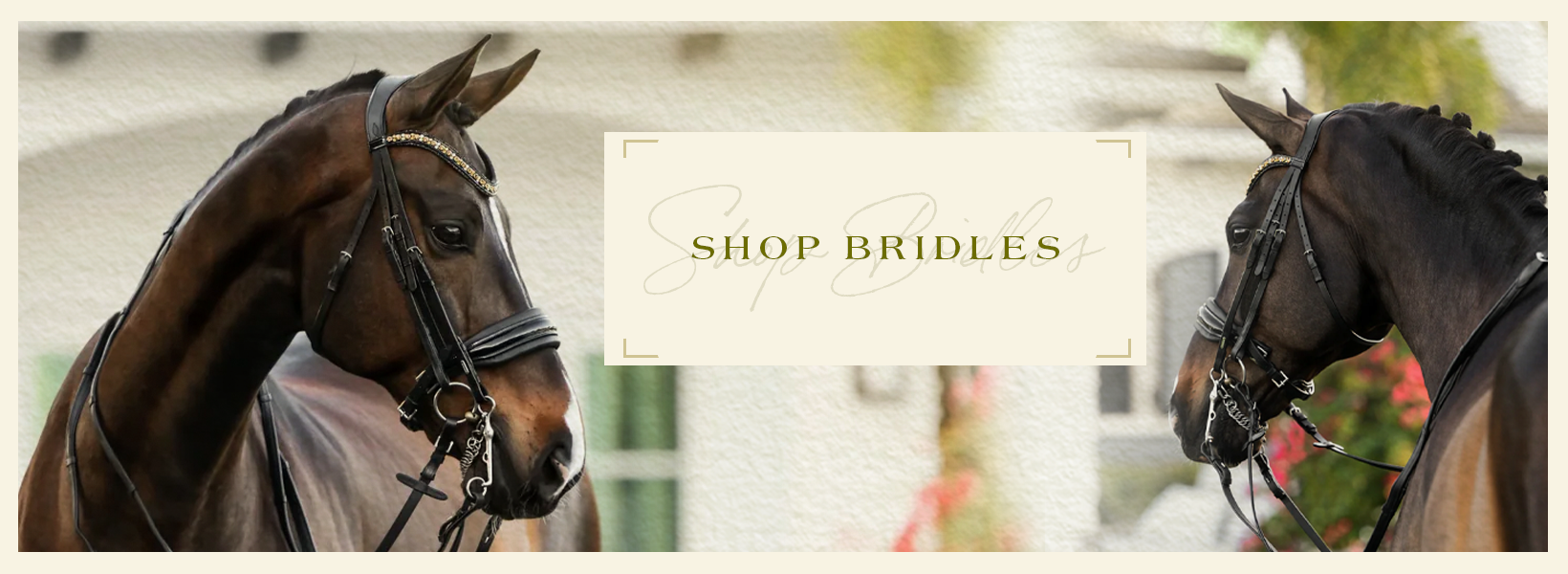 Bridles – Equestrian Fashion Outfitters